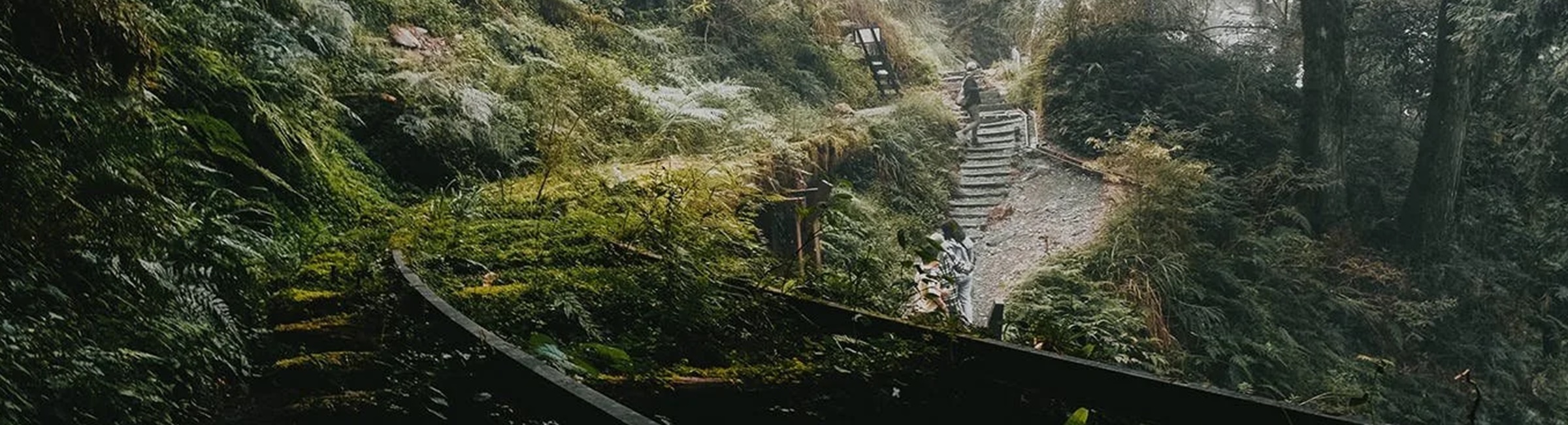 Taichung to 今夜星辰休閒農場 | Taxi fare, Chartered transfer price | tripool